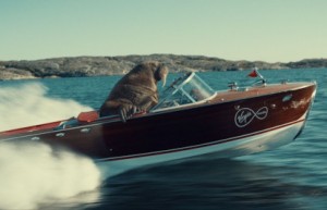 Walrus jumps into speedboat for Virgin Media O2 blitz - DecisionMarketing