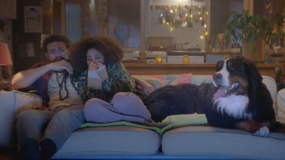 Pets at Home hires Oliver just months after Ogilvy One - DecisionMarketing